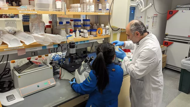 TSILab - Homepage | UCSF Department of Surgery